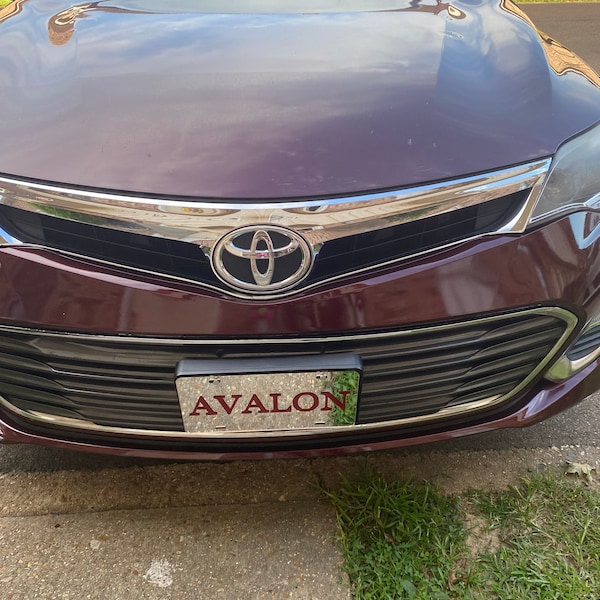 Personalized Mirror License Plate With Name, Nickname, or Company Logo ...