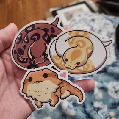 Cute Ball Python Stickers, Ball Python Morphs - Etsy