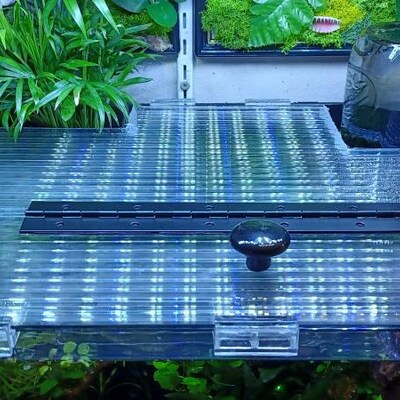 Inverted Betta Tank Holder, Panoramic View for Betta Fish, 360 View for ...