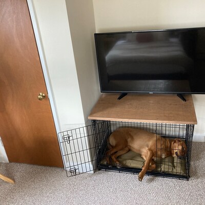 PET SAFE FINISH Dog Crate Base Dog Pet Base Crate Kennel - Etsy