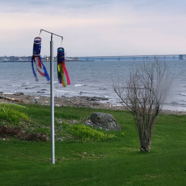 Large Blue Fish Windsock - Etsy