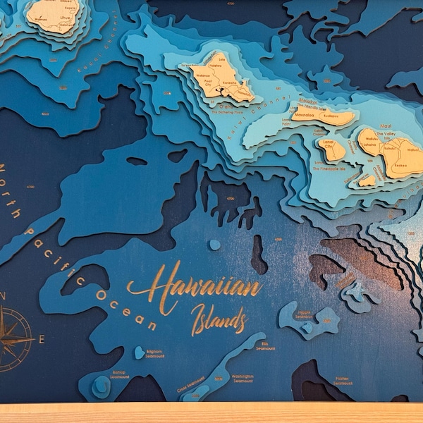 Digital File DXF, AI, SVG - New Zealand Map Wood Bathymatric Map ...