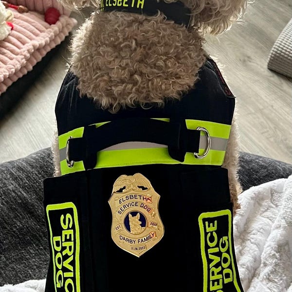 Emergency Services EMT Paramedic Ribbon Dog Collar With Optional Leash ...