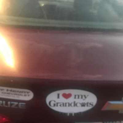 VEHICLE SIGN Animal Rescue in Progress 17x11.5 Oval - Etsy