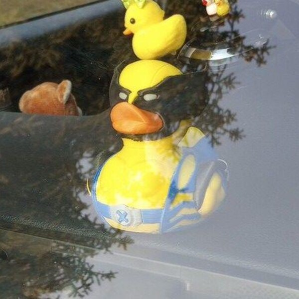 DEADPOOL and WOLVERINE Premium Ducks Available in 4 Sizes Deadpool and ...