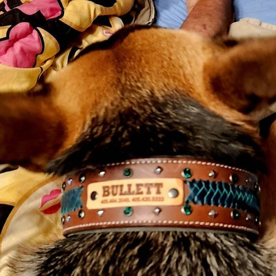 Red White Blue Braided Leather Fancy Designer Dog Collar for Large Dogs ...