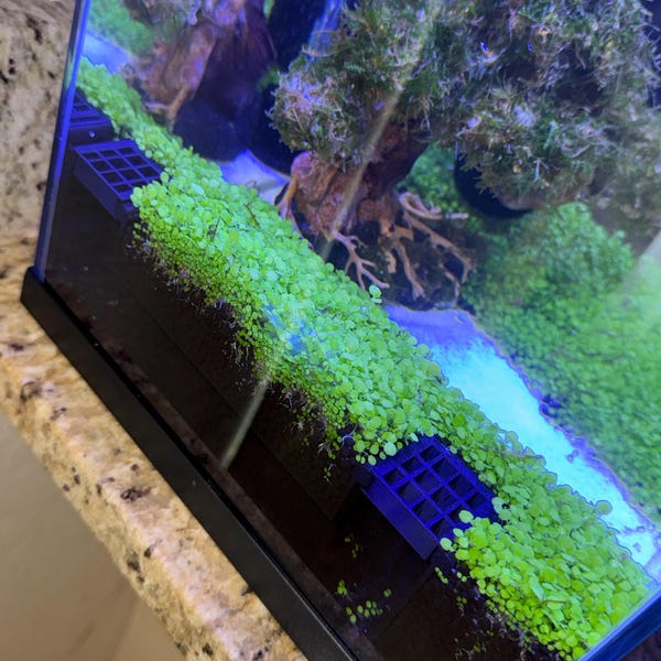 Finnex Stingray Original LED Light Riser, Attractive Stable Elevated ...