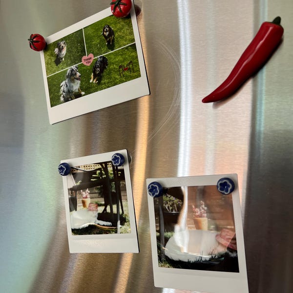 Ceramic Magnet, Ceramic Fruit, Food Magnet, Clay Magnets, Fridge ...