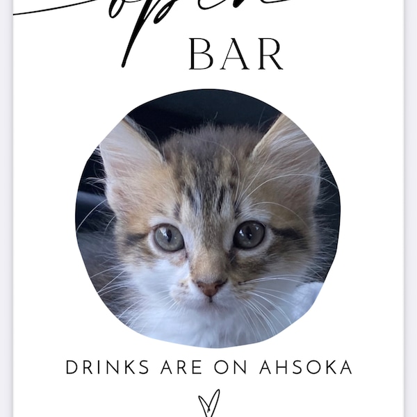 Open Bar Sign Template, Modern Minimalist Wedding Sign, Pet Photo Drink ...