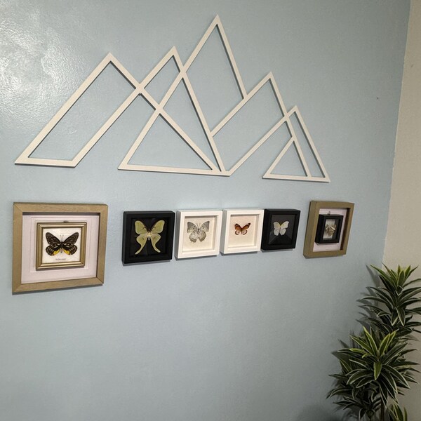 Preserved Scarab Beetle Anatomy Taxidermy Display - Etsy