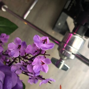 Gothic Werewolf Tea Light Candle Holder Statue Lycan Beast Wolf Man ...