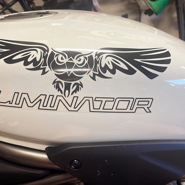 Snake Skull Head Goth Gothic Decal Car Van Bonnet Vinyl Side Sticker ...