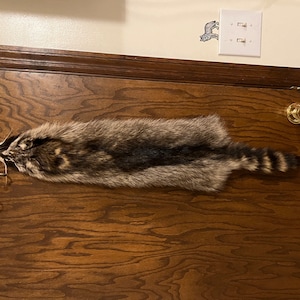Professionally Soft Tanned Large 1 Grade Iowa Raccoon/coon Hide/pelt - Etsy