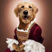 Classy Custom Pet Custom Pet Portraits Royal Pet Portrait - Etsy