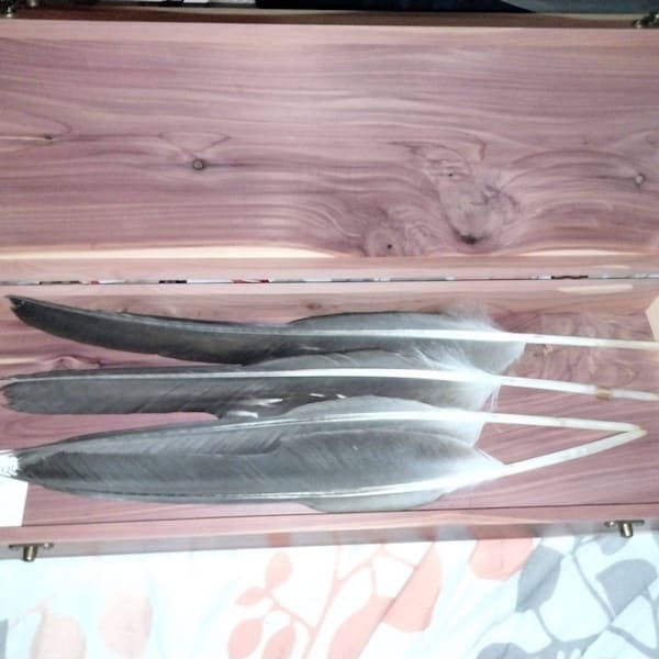 22" Native American Feather Case, Blade Box, Cedar Box, Wood Box ...