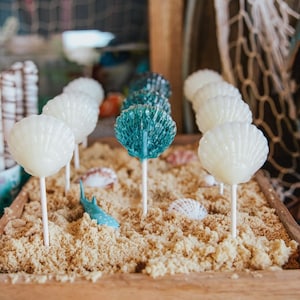 24 Pcs Clam Shell Lollipops for Mermaid Party, Ariel Party, and Beach ...