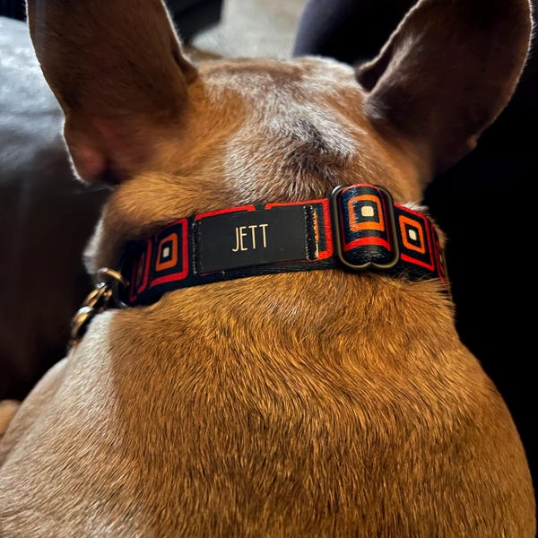 Green Chevron Dog Elite Bundle Custom Dog Collar, Leash and Harness ...