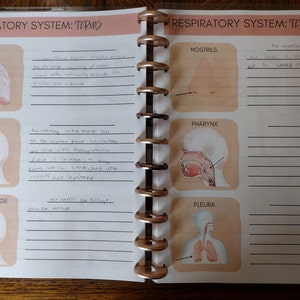CC Essentials Number Knockout Board Slam Boards for Math Review - Etsy