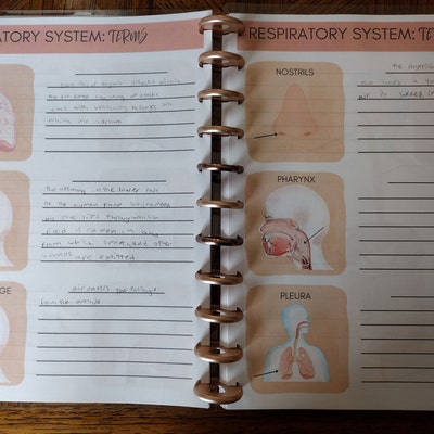 CC Essentials Number Knockout Board Slam Boards for Math - Etsy