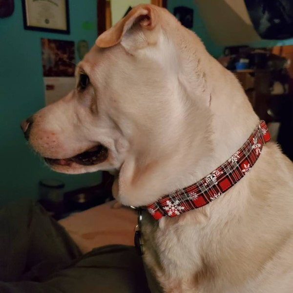 CUSTOM Hidden Prong Training Dog Collar - Real Leather - 2 Inch Wide ...