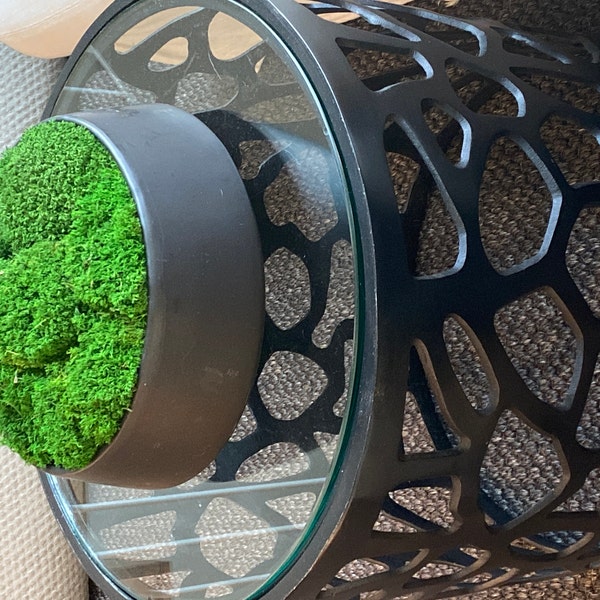 Illuminated Preserved Moss Wall Art With LED Lighting, Eco-friendly ...