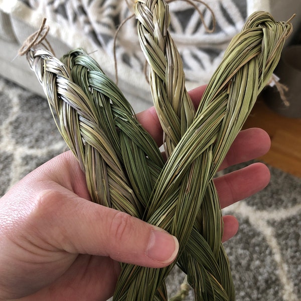 Sweetgrass Braids | Large Sweet Grass Smudge | Sweetgrass Braid Smudge ...