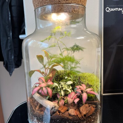 DIY Tall Light up Closed Terrarium Beginners Closed Terrarium Kit ...