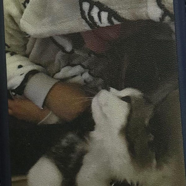 Aura Aesthetic Phone Case Pink Heart Cover for iPhone 16, 15, 14, 13 ...