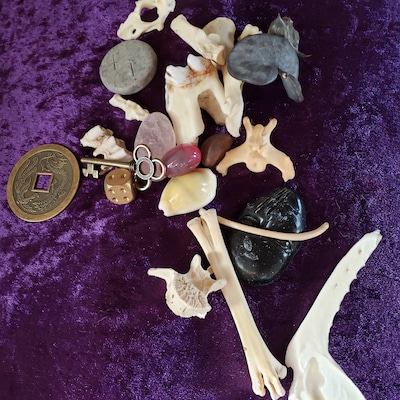 BONE READING Bone Casting Reading reading Sent to You Within 48 Hours ...
