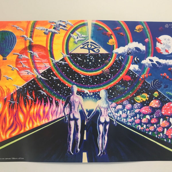 Dolphin Girl UV Black Light Fluorescent & Glow in the Dark ...