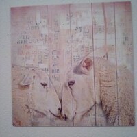 MEERWEH DUO Maritimes Bild auf Holz Leinwand Kunstdruck Meer Ostsee Nordsee Möwen Wanddeko ...