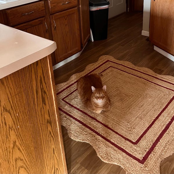 Scalloped Jute Rug- Rustic Red Wave Edge Jute Rug, Jute Scalloped Rug ...