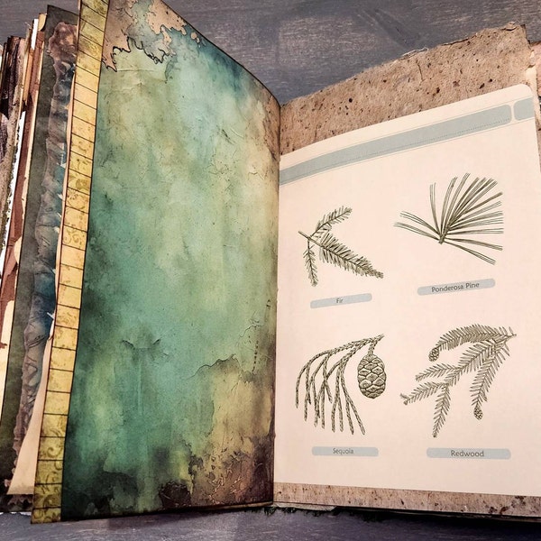 Special Family Tree, Family Tree, for Families Who Love Flowers, to ...