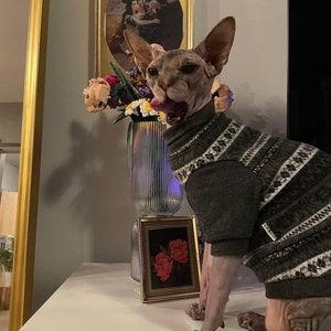 Kotomoda Shower Caps for Sphynx Cats and Small Pets 20pcs in a - Etsy