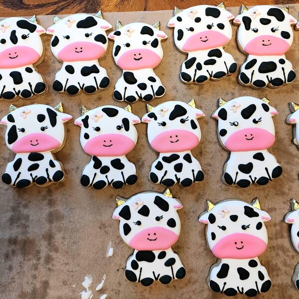 100 100th One Hundred One Hundredth Cookie Cutter and Fondant Cutter ...