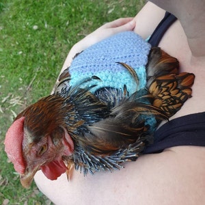Crochet Pattern for Chookvest Chicken Vest/jumper/sweater/tabard ...