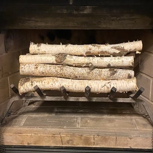 Birch Bundle of Logs 10 Free Shipping - Etsy