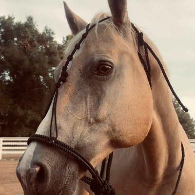 Sundance Hoops - Etsy