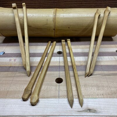 2 Fresh Cut Bamboo Choose From 1 to 8 Feet Long - Etsy