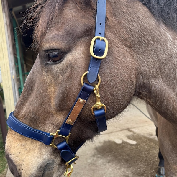 Anatomical French Bridle Lazypony With Reins, Leather Bridle, Horse ...