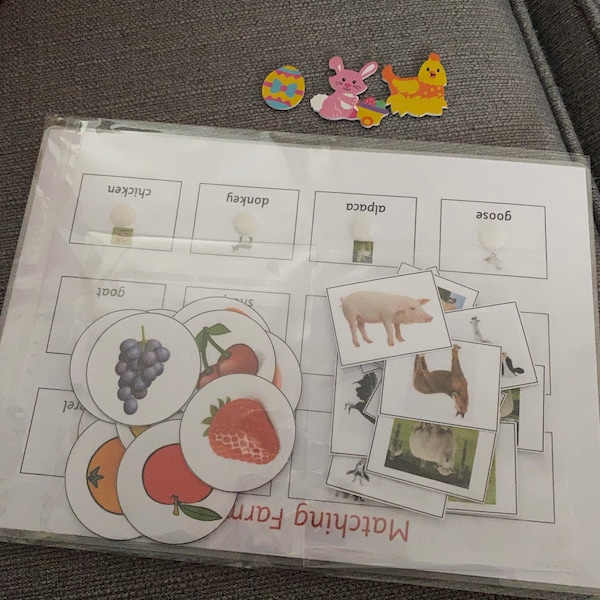 Number Fan for Children, Identify 0-20, Numeracy Aid, Teaching Resource ...