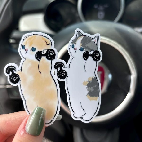 Limited Stickers ,hand Made Sticker, Waterproof Sticker, Water Bottler ...