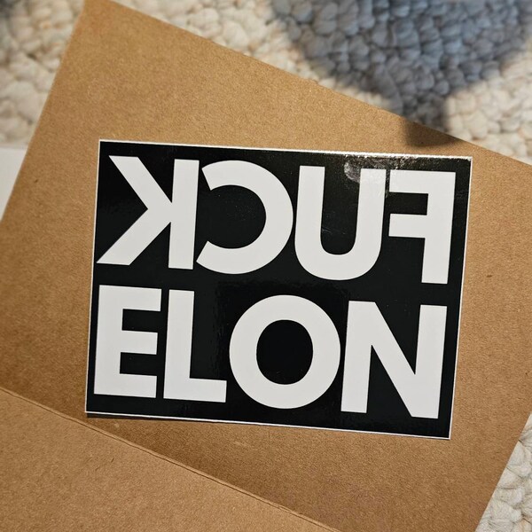 Tesla Owner Bumper Sticker, I Bought This Before ELON WENT CRAZY, Tesla ...