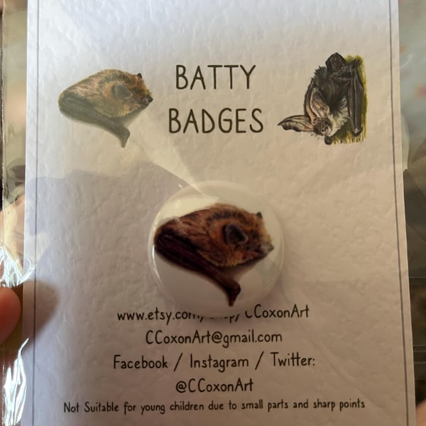Bat Badges, Bat Button Badges, Common Pipistrelle, Brown Long Eared Bat ...
