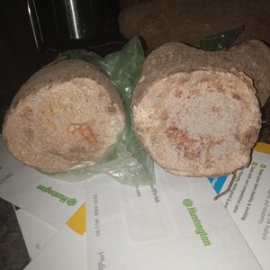 Cameroon Pepper Powder/ Grinded Cameroon Peppers/ Dry Cameroon Peppers ...