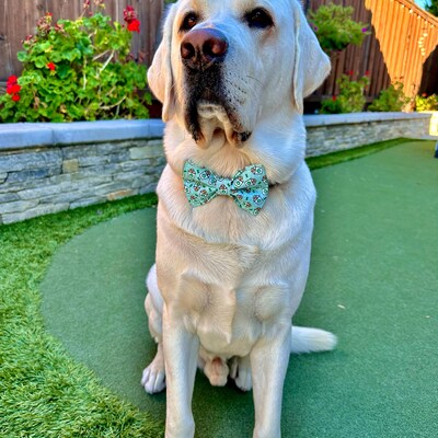 Denim Dog Bow - Etsy