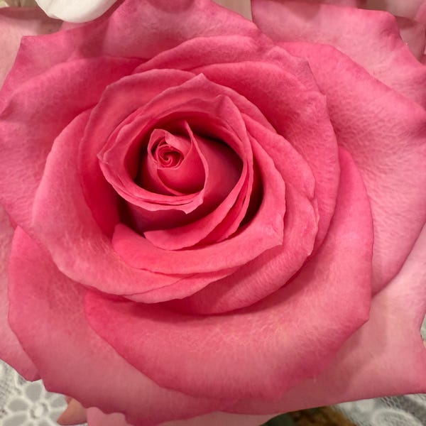 Vintage Red Rotary Dial Desk Phone, 1970s Table Telephone, Cherry Red ...