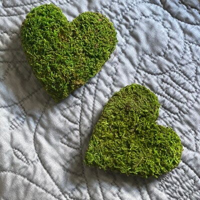 Custom Moss Logo Wall Green Wallscapes Moss Wall Moss Wall With Logo ...