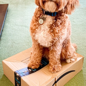 Football Retirement Card Football Chelsea Liverpool | Etsy UK