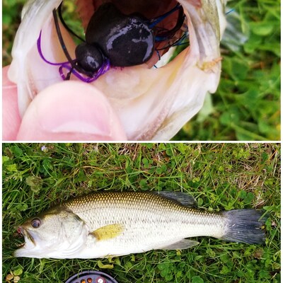 Size 10 Bream Reaper, Pan Fish Fly, Bass Fly - Etsy